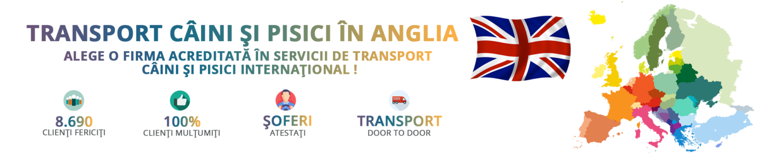 International transportation of pets ( dogs and cats )