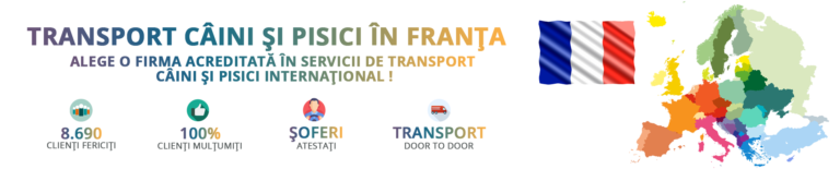 International transportation of pets ( dogs and cats )